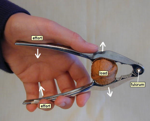 Second Class Lever Nutcracker